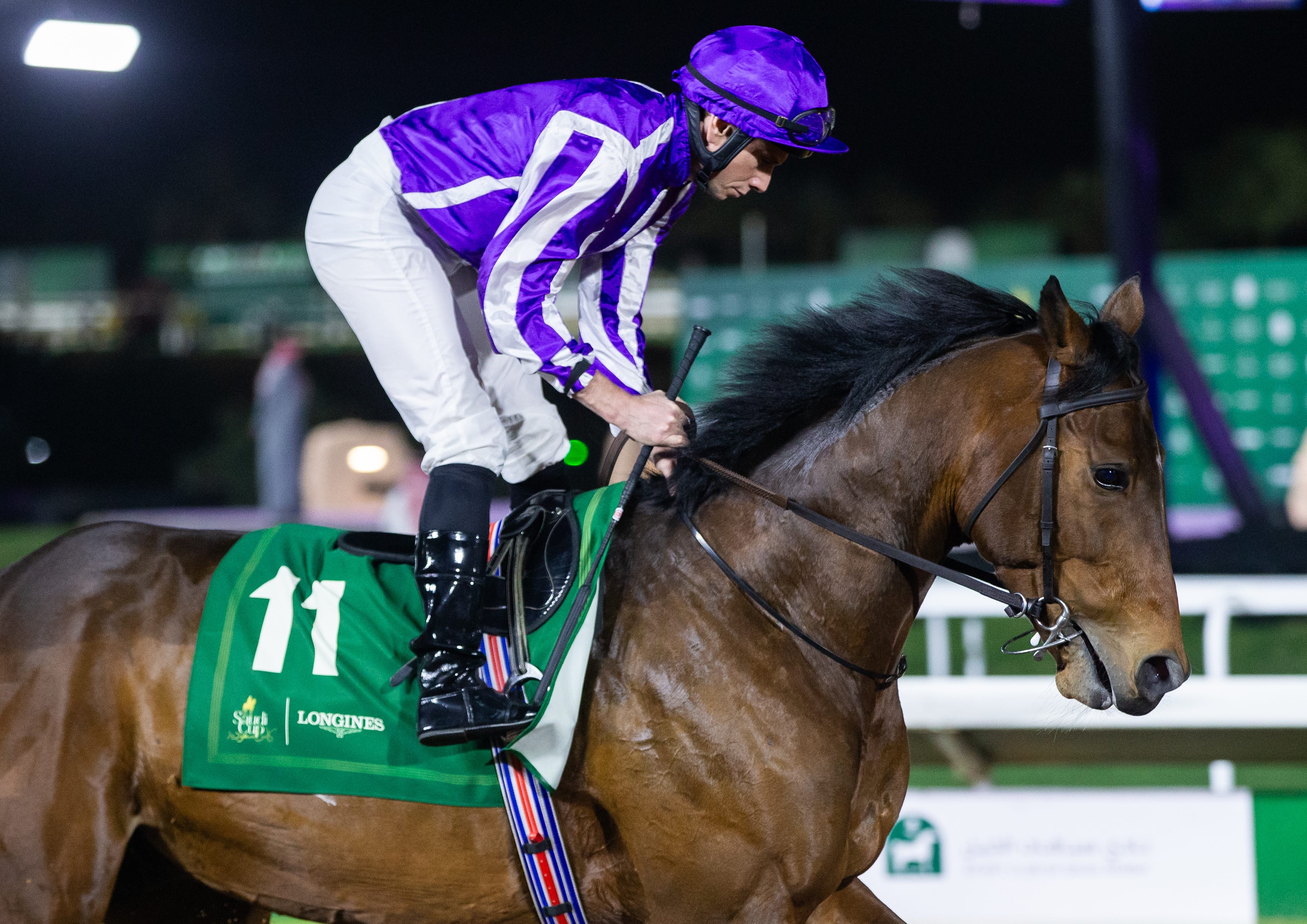 Ryan Moore’s World Pool blog: Whistlejacket has the talent to get involved